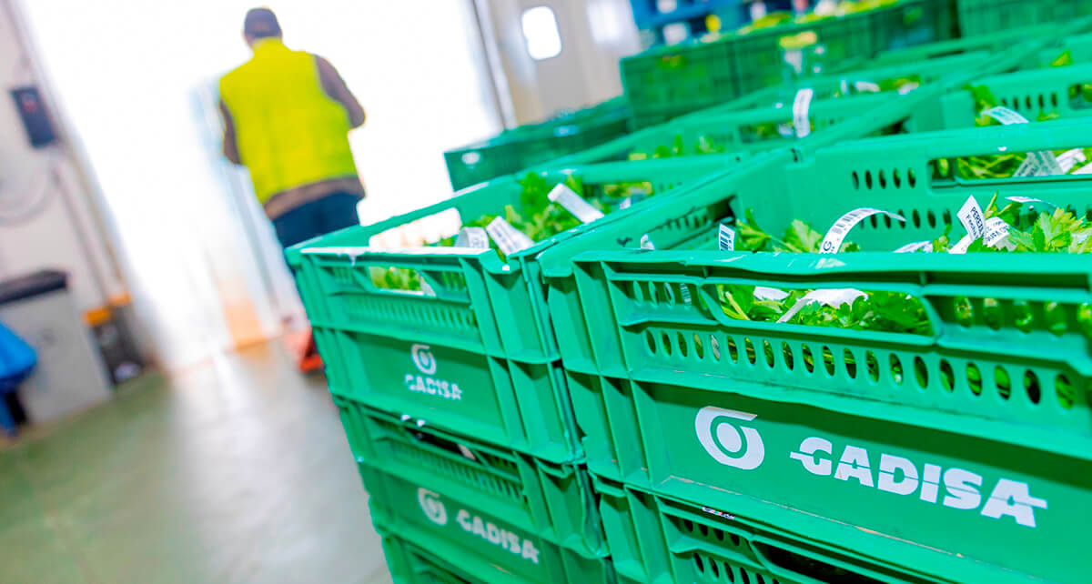 Gadisa Retail destinó 466 millones a compras a proveedores locales en ...